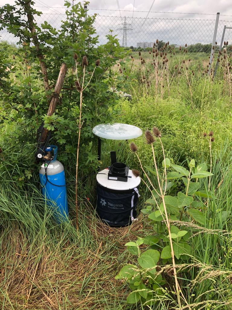 The BG-Counter on the Florida Keys